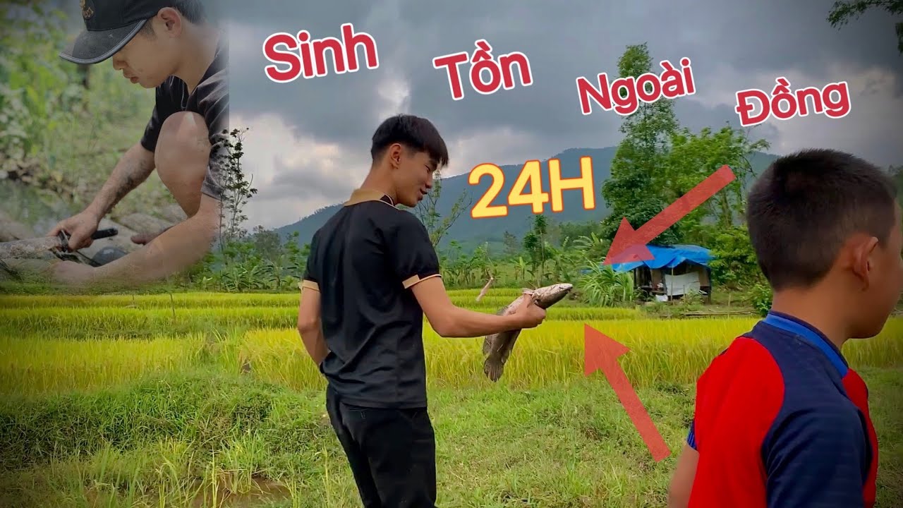 Tom Vlog [ Cùng Taem sinh tồn ngoài đồng 24H và cái kết… - YouTube