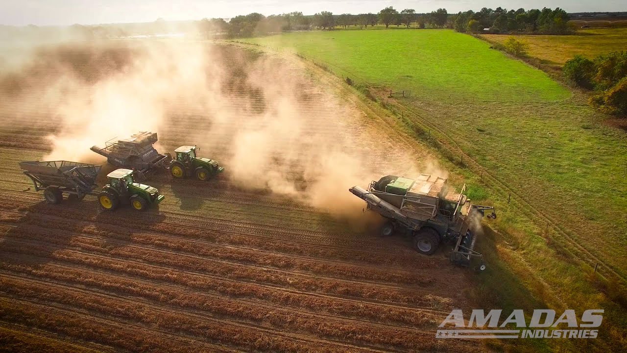 AMADAS SP and PT Peanut Combines - YouTube