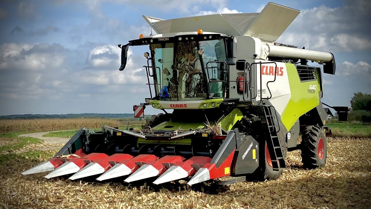CLAAS TRION 640 Żniwa Kukurydziane NOWYM NABYTKIEM ㋡ - YouTube