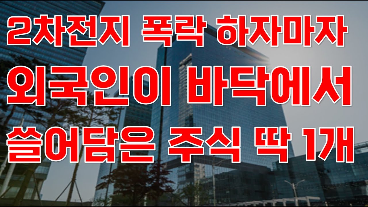 상한가 2차전지 폭락 하자마자 외국인이 바닥에서 쓸어담은 주식 딱 1개 2차전지관련주 에코프로비엠 주식전망 엘앤에프