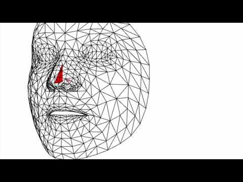 Mediapipe face mesh for web to determine head direction - YouTube