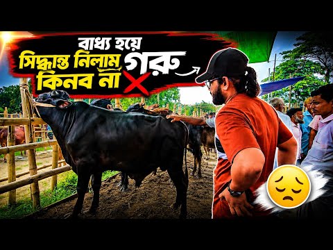 বাধ্য হয়ে সিদ্ধান্ত নিলাম,,,গরু কিনবো না,,,🐂