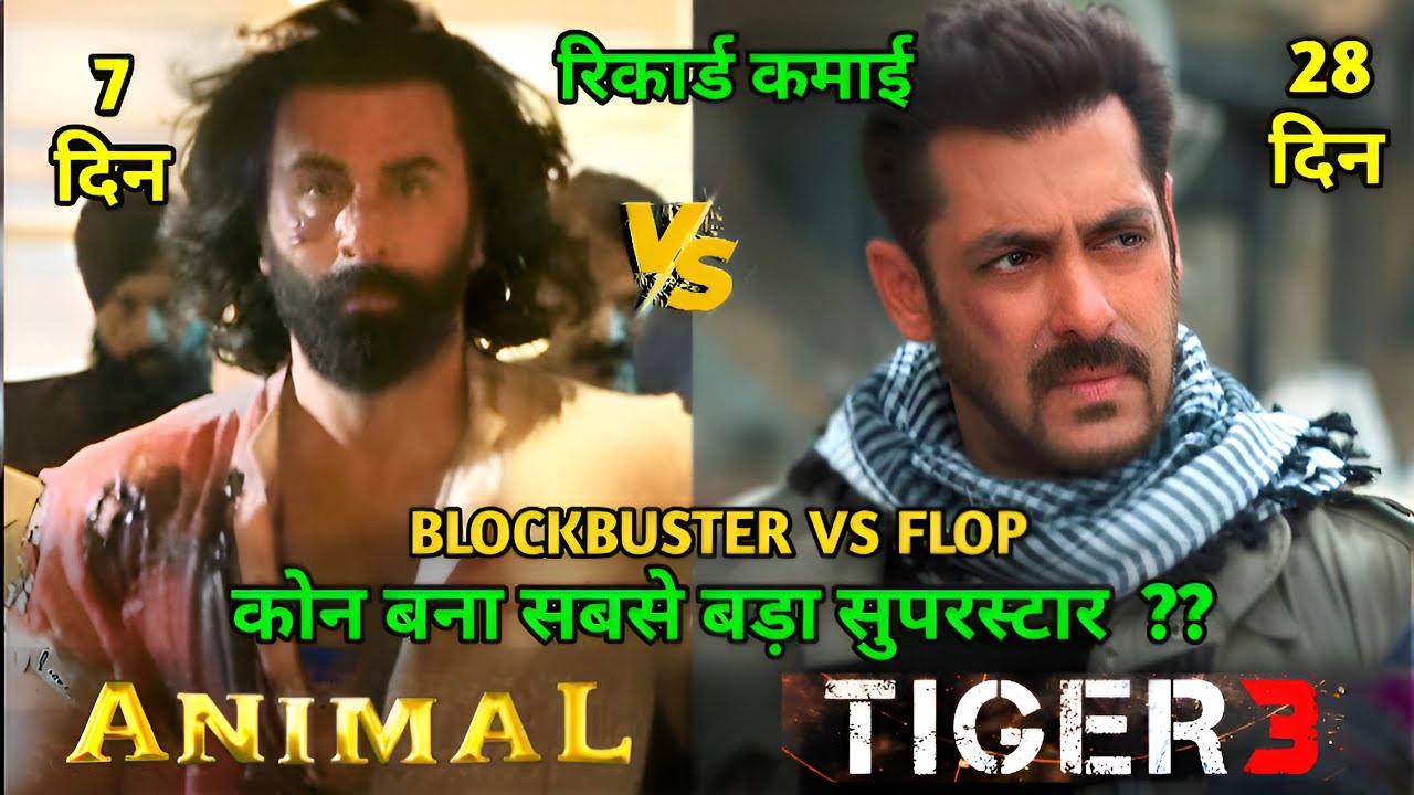 Animal Vs Tiger 3 Comparison, Animal Box Office Collection, Tiger 3 Box ...