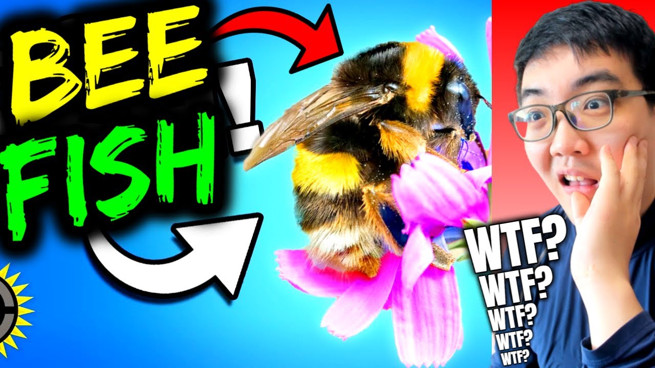 "80% of the world's almonds are coming from California" - MatPat ...