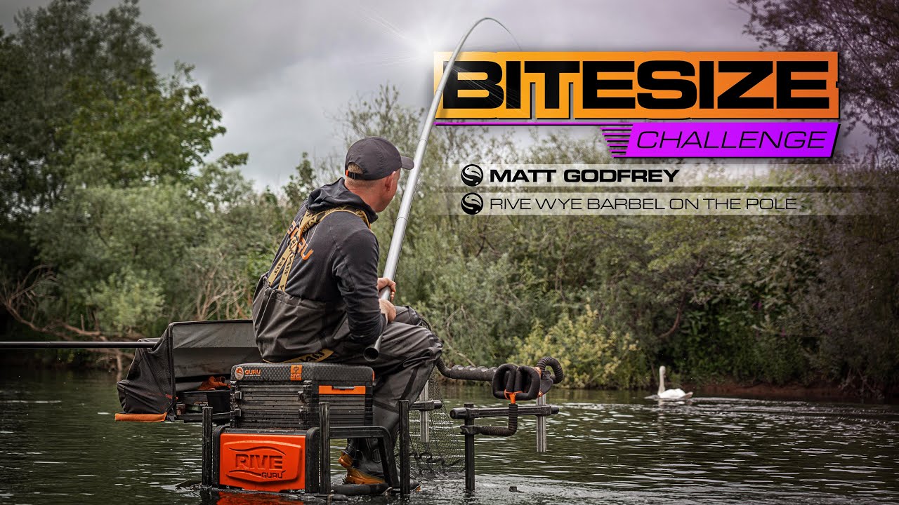 Catching Barbel On The Pole! - YouTube