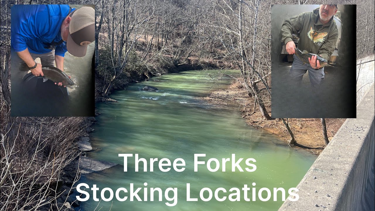 Three Forks Creek Stocking Locations - YouTube