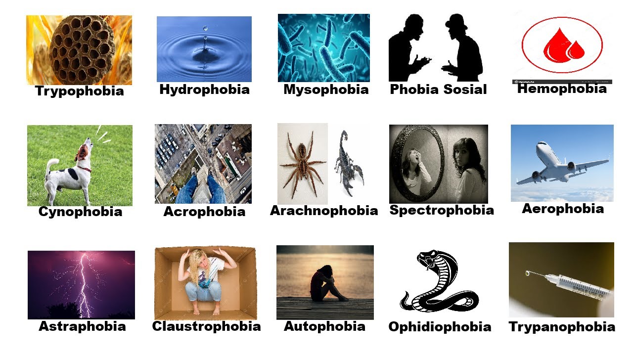 15 Jenis Fobia dijelaskan dalam 7 menit 48 detik - YouTube