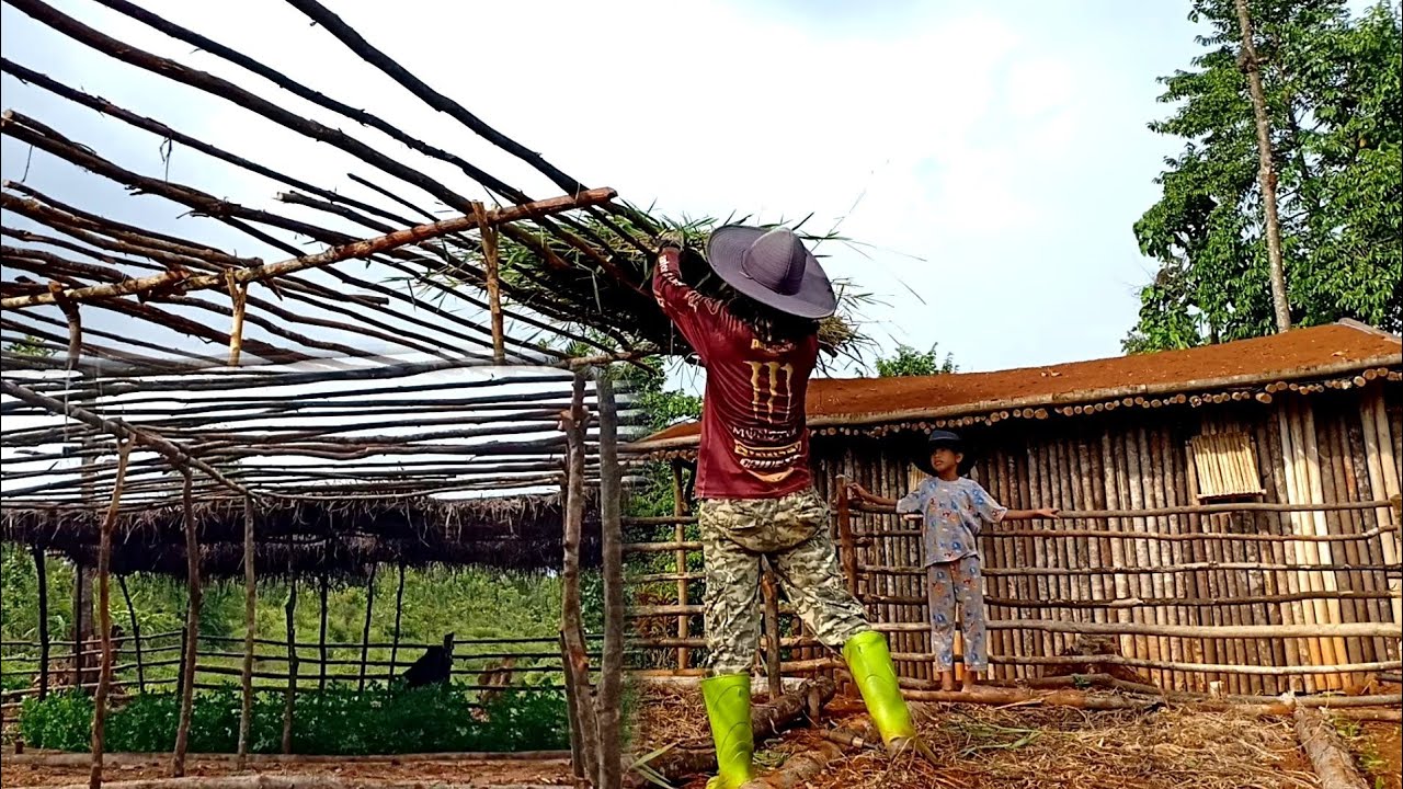 Hidup bertani di hutan memasang atap rumput raised bed ep 47 - YouTube