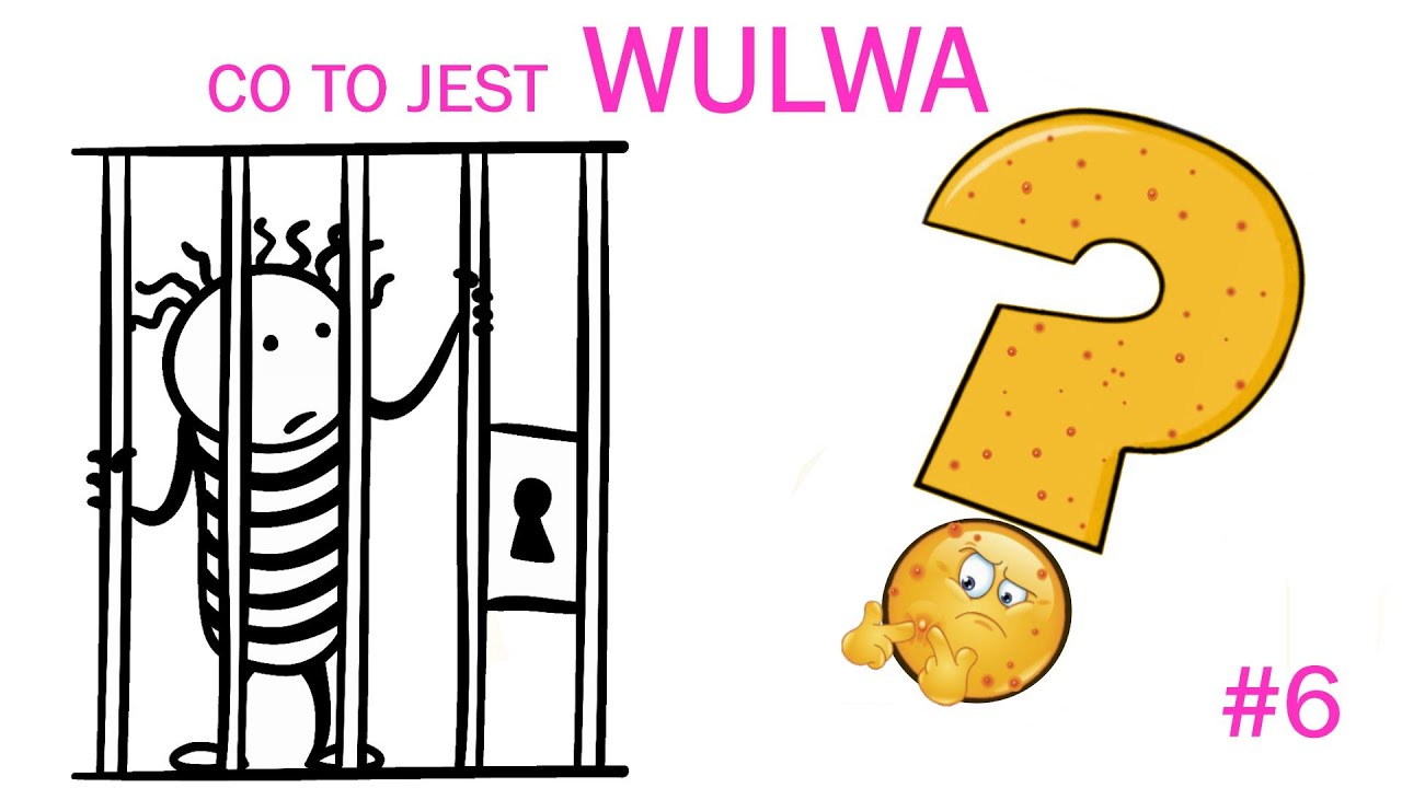 CO TO JEST WULWA? – Seksualny słownik wyrazów obcych odc. 6 [femmeraTV ...