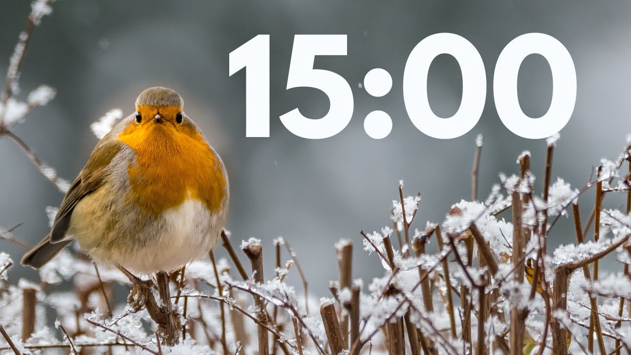 15:00 COZY WINTER SNOW TIMER with soft chime at the end! ️⛄ | 15-Minute ...