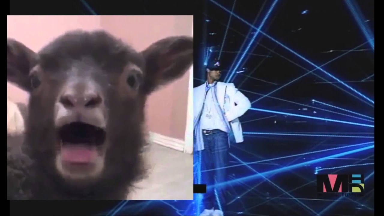 Usher - Yeah (Funny Goat Edition) - YouTube