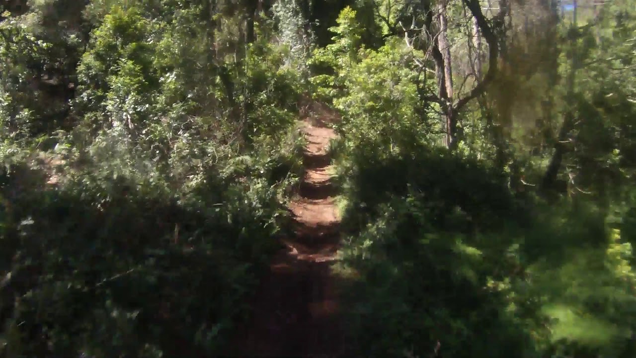 Beta demo day. Sydney. first ride RR200 - YouTube