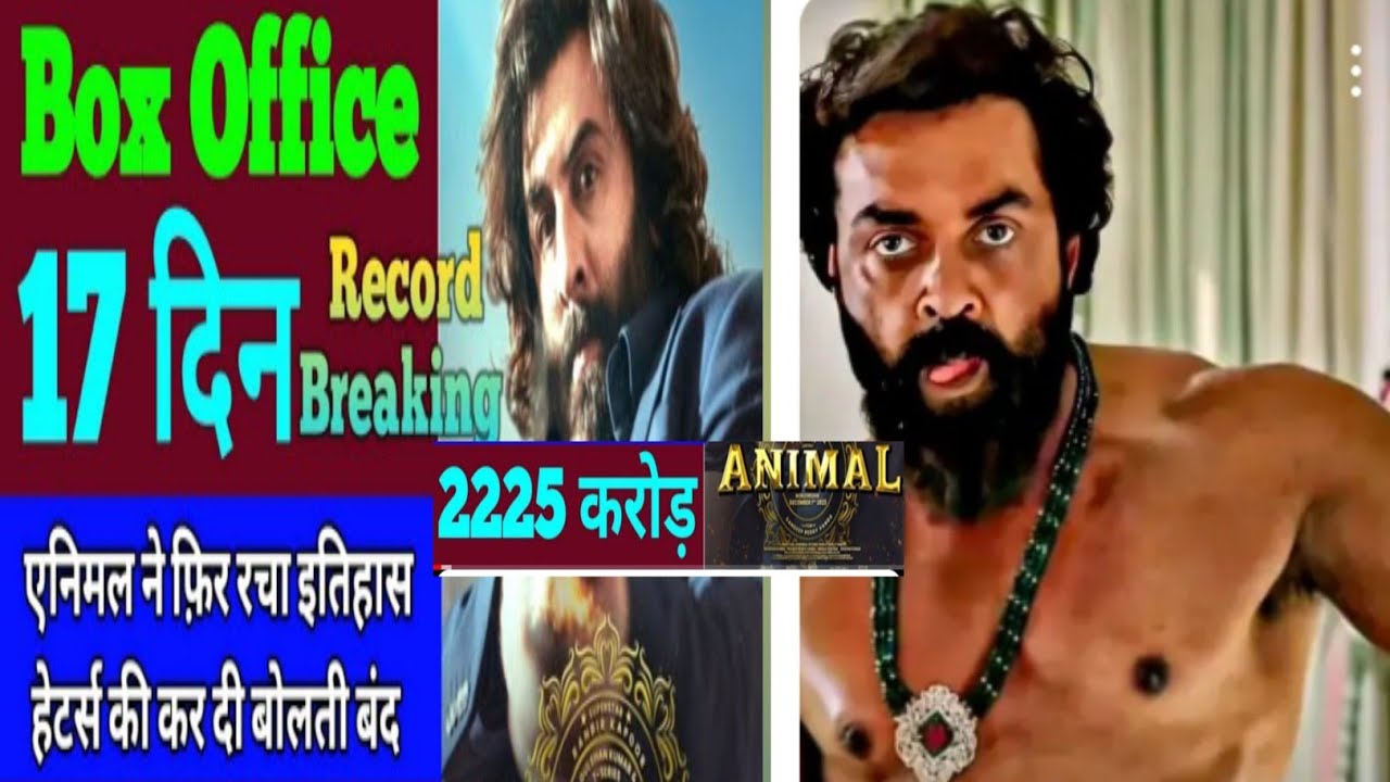 Animal Box office collection | Animal Collection Day 17 Animal Big ...