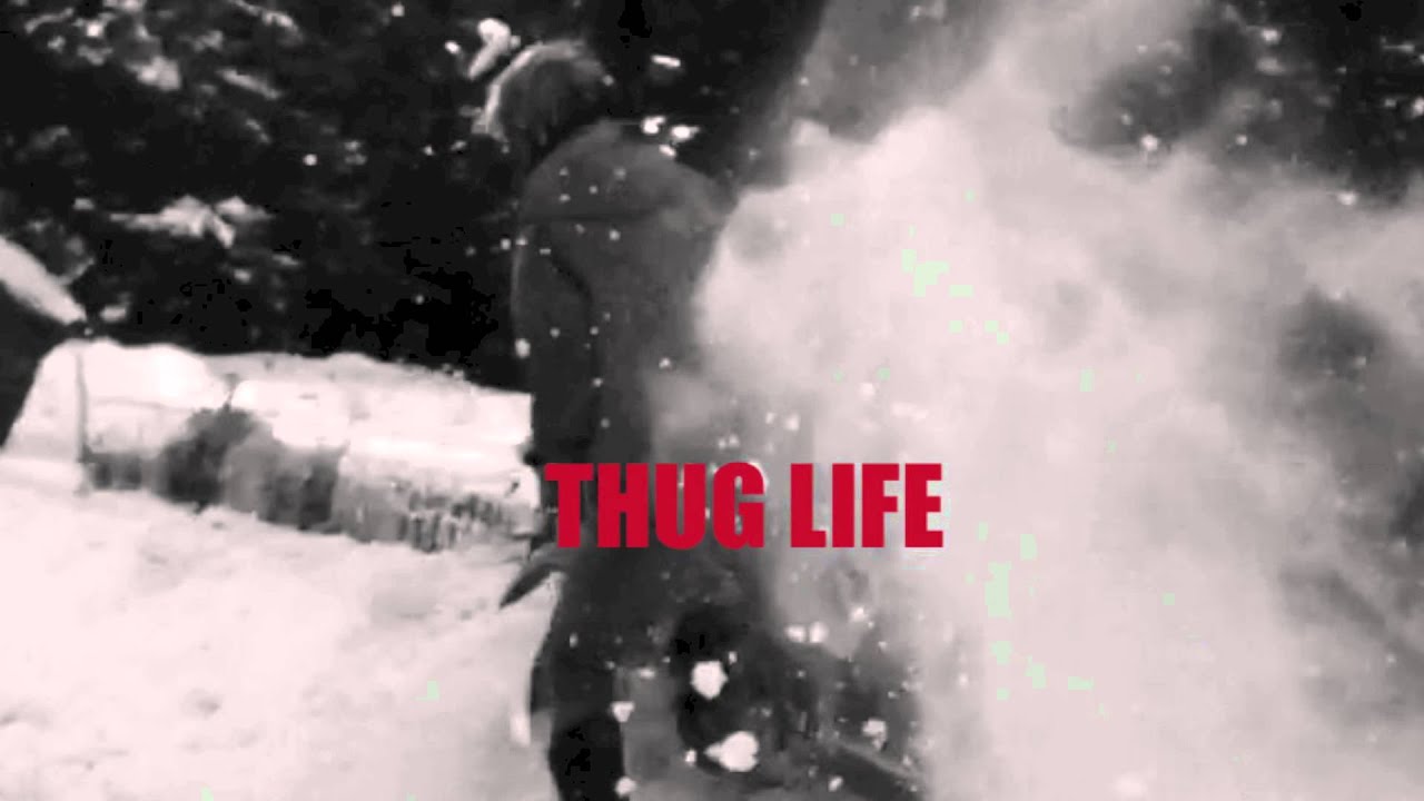 Thug life Qc Compilation Epic - YouTube