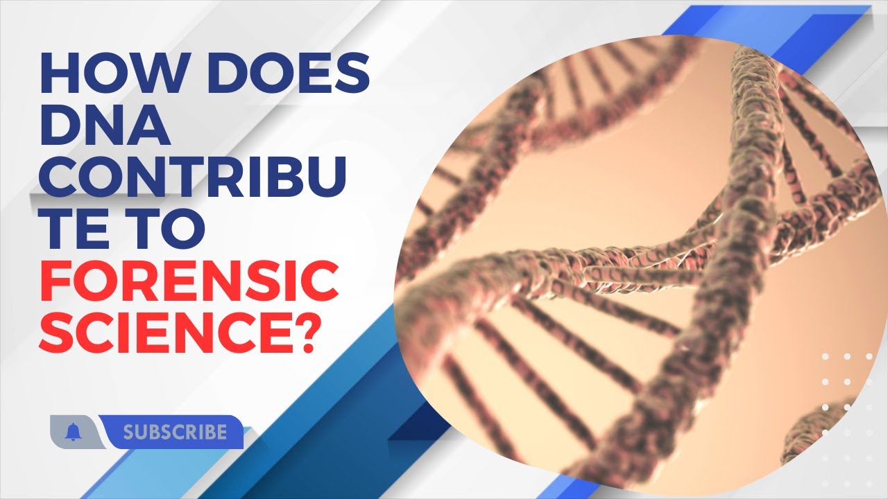 How does DNA contribute to forensic science? - YouTube