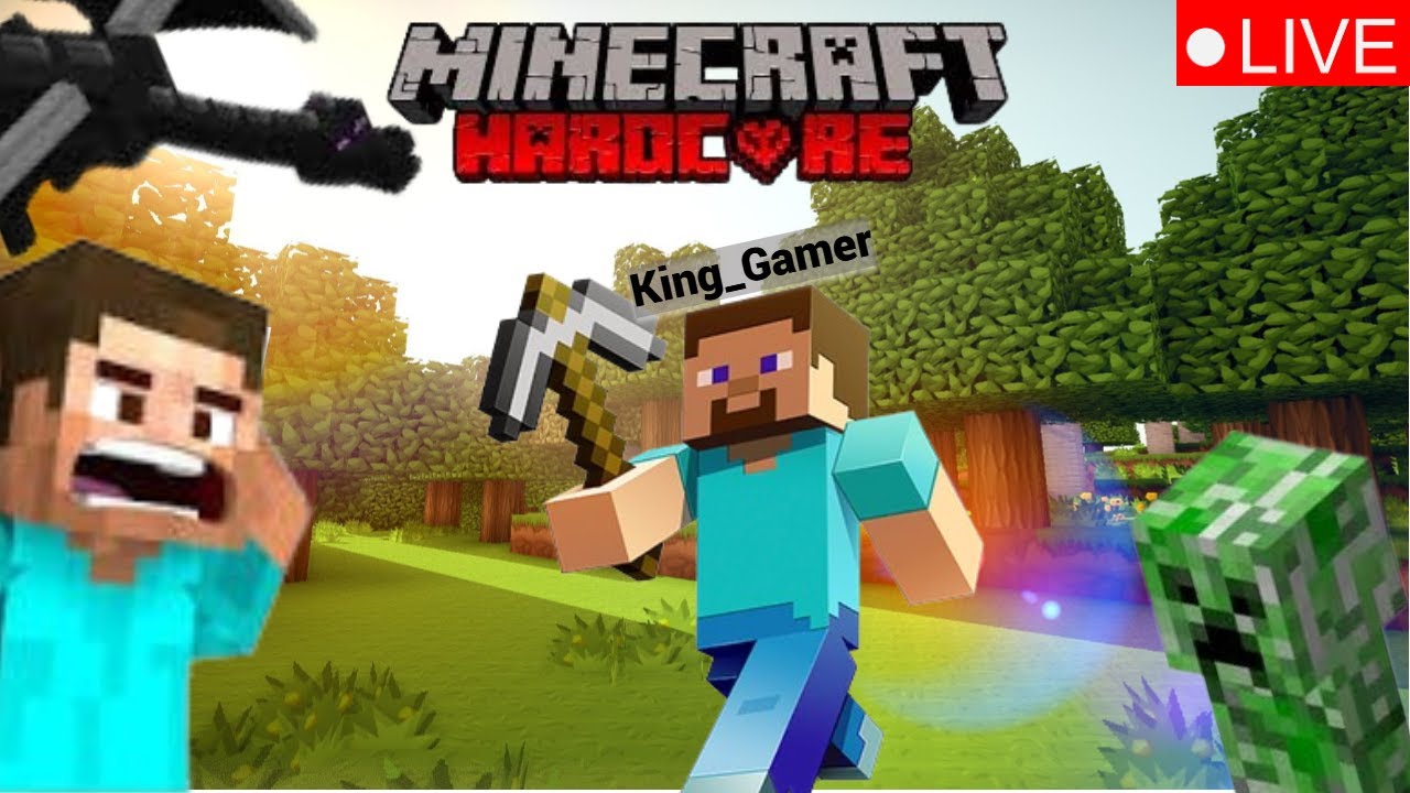 Can I Defeat Minecraft Hardcore?| MINECRAFT JAVA - YouTube