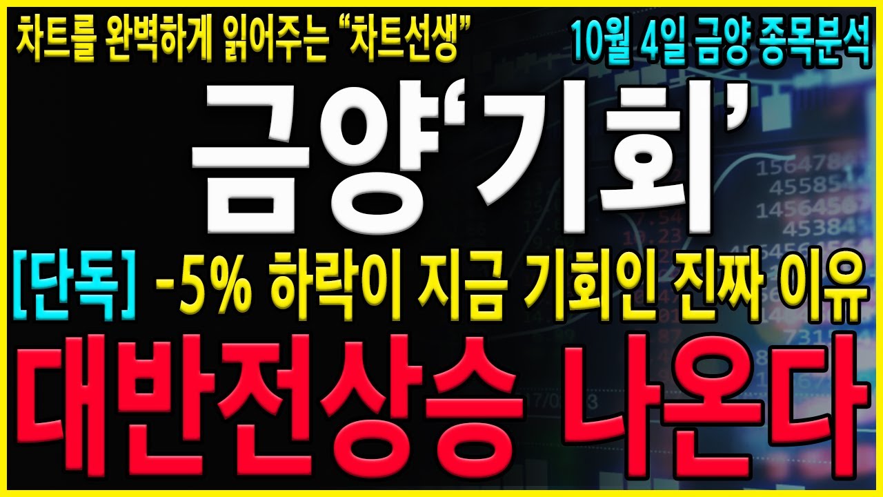 금양 주가 전망 5 급락인데 기회로 보는 이유 유상증자 성공을 위해선 주가를 급등 시킬 수 밖에 없습니다 이 때