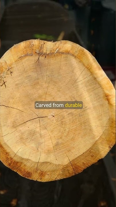 Hanging Coffins of China Mysteries Along the Yangtze - YouTube