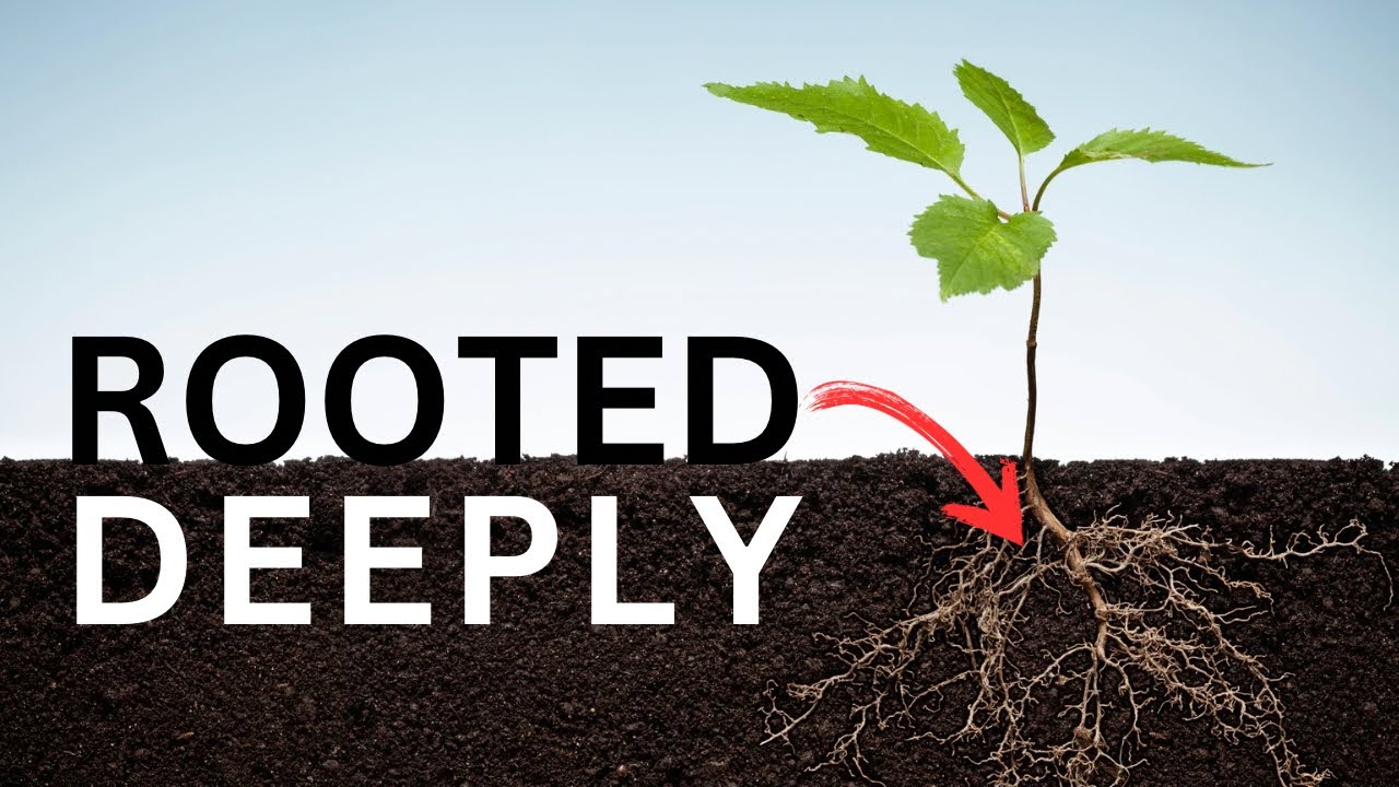 Are you Rooted in Christ? - YouTube