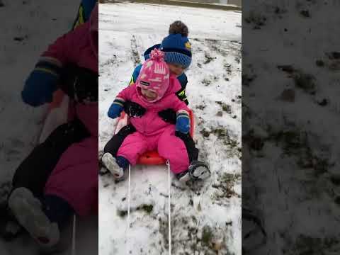 Ava’s first sled ride November 2024 - YouTube