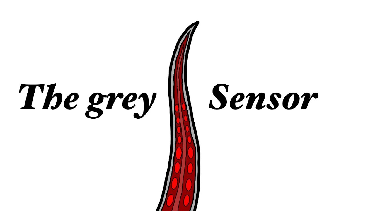 Biology of the grey sensor | SBIAMC - YouTube