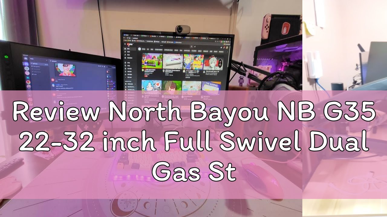 Review North Bayou NB G35 22-32 inch Full Swivel Dual Gas Strut Arm ...