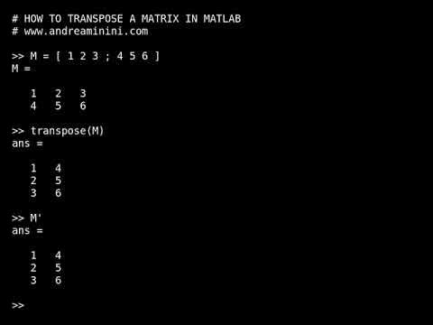 How to transpose a matrix in Matlab - YouTube