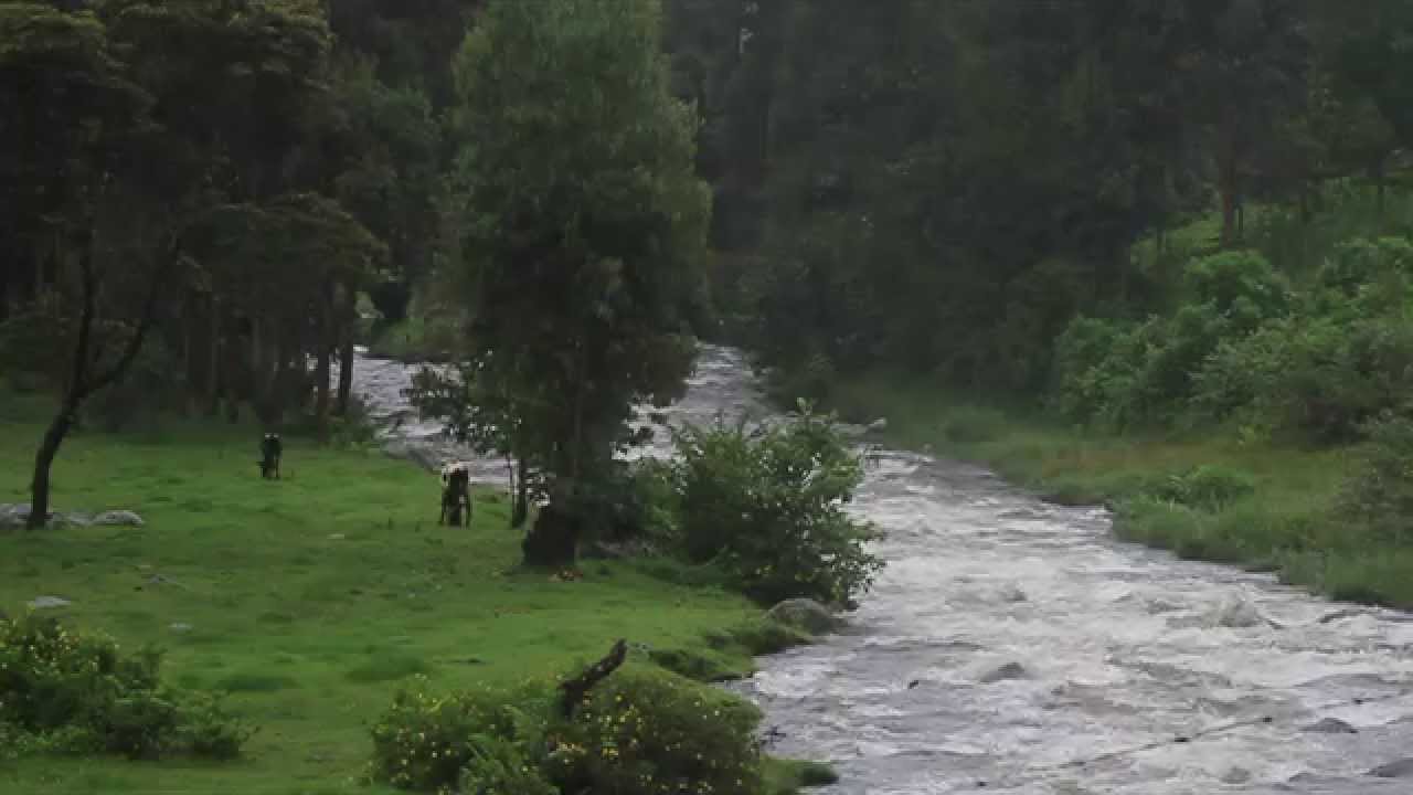 Breathtaking Mountain River in Kenya - Aberdares, Mount Kenya - YouTube