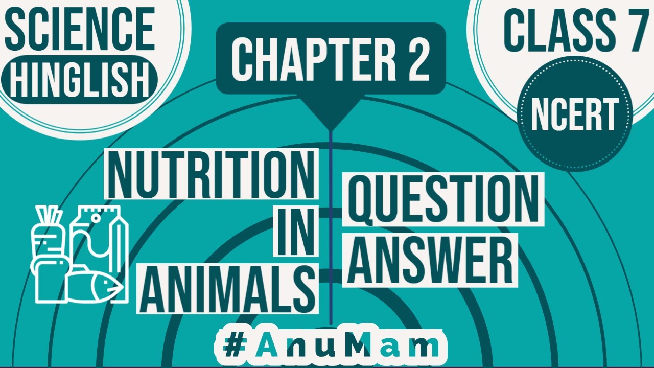 Nutrition In Animals Class 7 Question Answers Chapter 2 Science nutrition-in-animals-class-7-question-answers-chapter-2-science