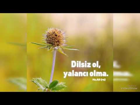 “SIKINTILI YÜREKLERE FERAHLIK VER, ALLAH’IM.”