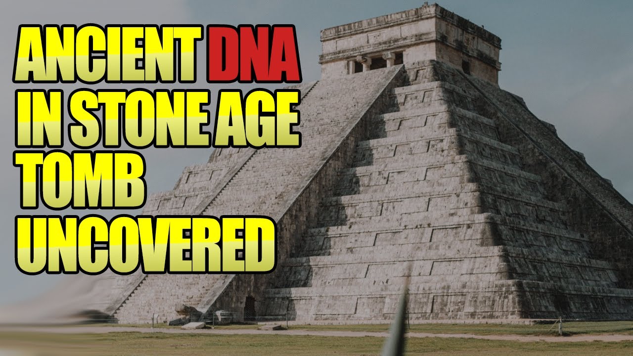 Ancient DNA In A Stone Age Tomb Reveals The World’s Oldest Family Tree ...