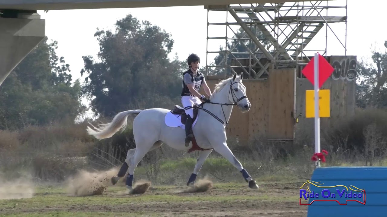 088XC Addison Cleary on Ideal Contini JR Training Cross Country FCHP ...