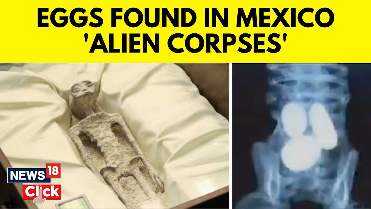 Alien Bodies Mexico | Eggs Found In 'Alien Bodies' Displayed In Mexico ...