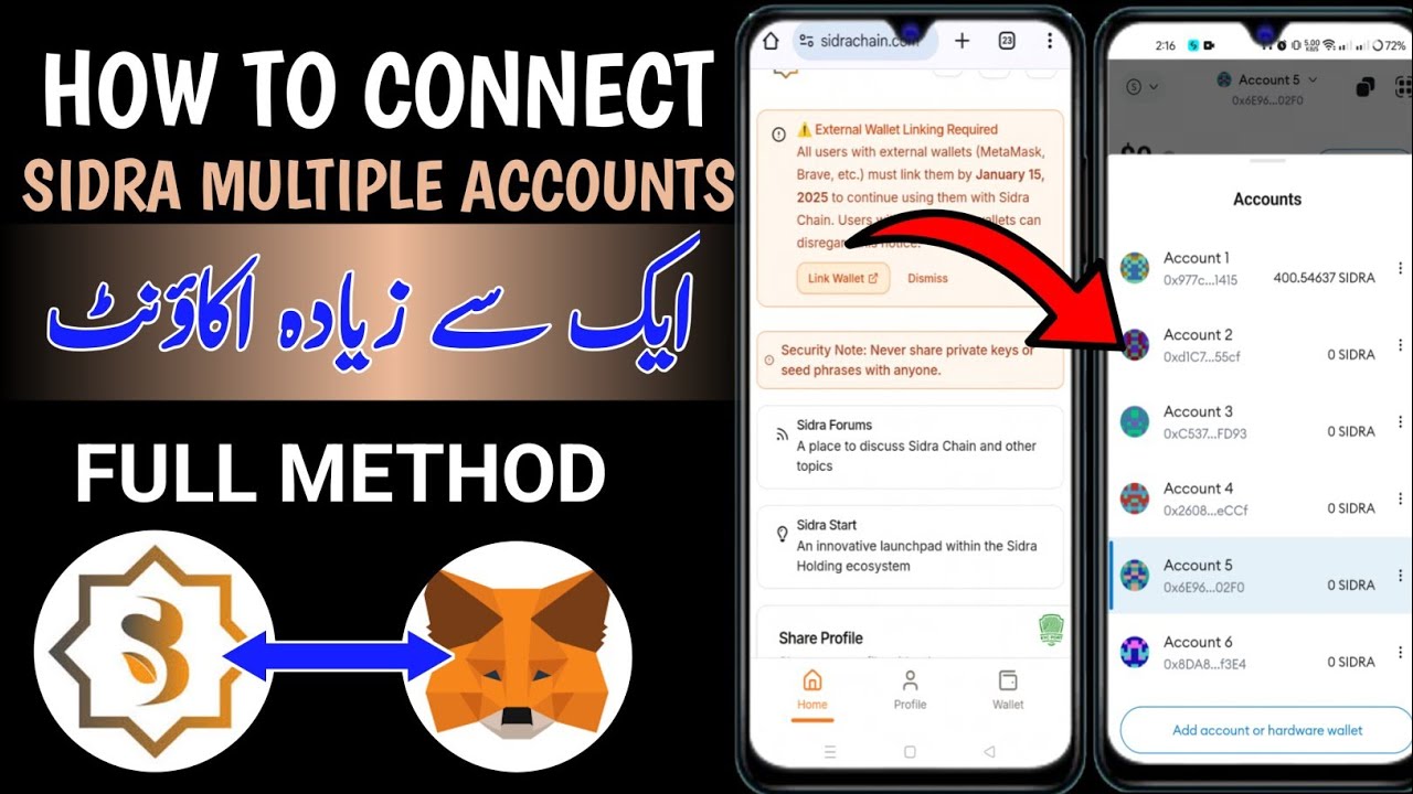 How to connect Sidra Chain with MetaMask | How to connect multiple ...