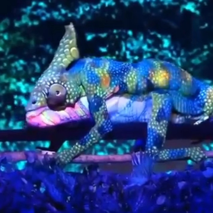 "Magic Transformation: Man Turns into Chameleon! 🦎 | Shocking Visuals ...