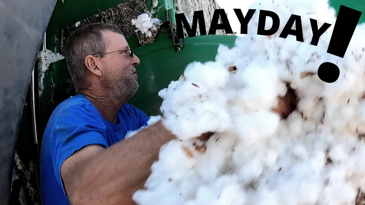 The Struggle Trying to Finish Cotton Harvest - YouTube