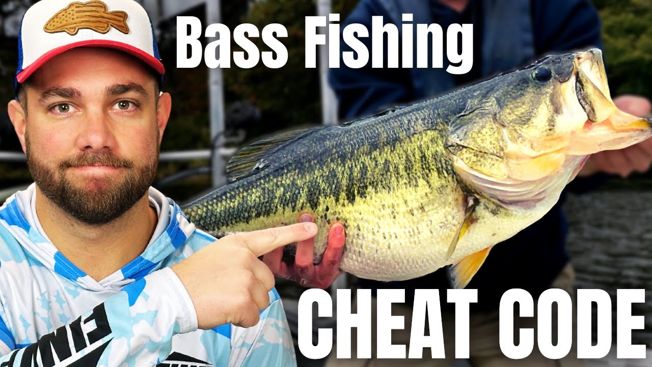 The Real CHEAT CODE To Bass Fishing (Positivity) - YouTube