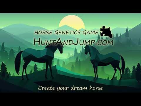 Create your dream horse with the horse genetics game - YouTube