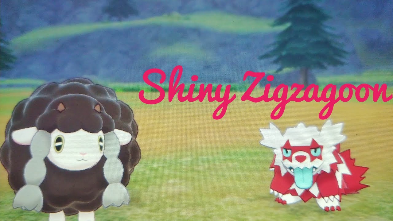 Zigzagoon Shiny Pokémon Sword And Shield Best Ways To Catch And