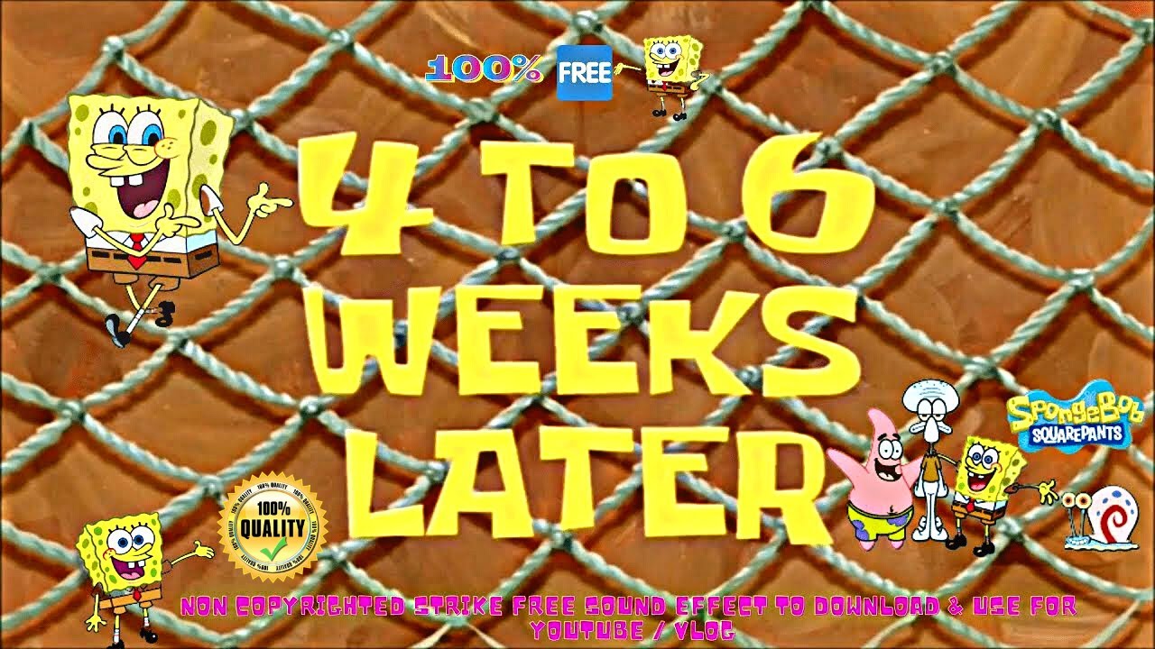 4 to 6 Weeks Later - Spongebob Time Cards🔥Sound Effect🔊👍🏻No Copyright ...