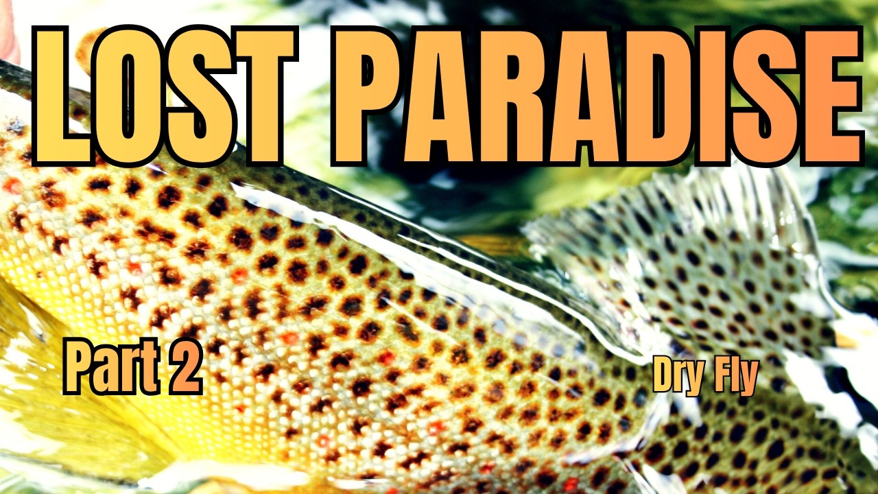 20 years ago we made a film from a hidden trout paradise. Were the good ...
