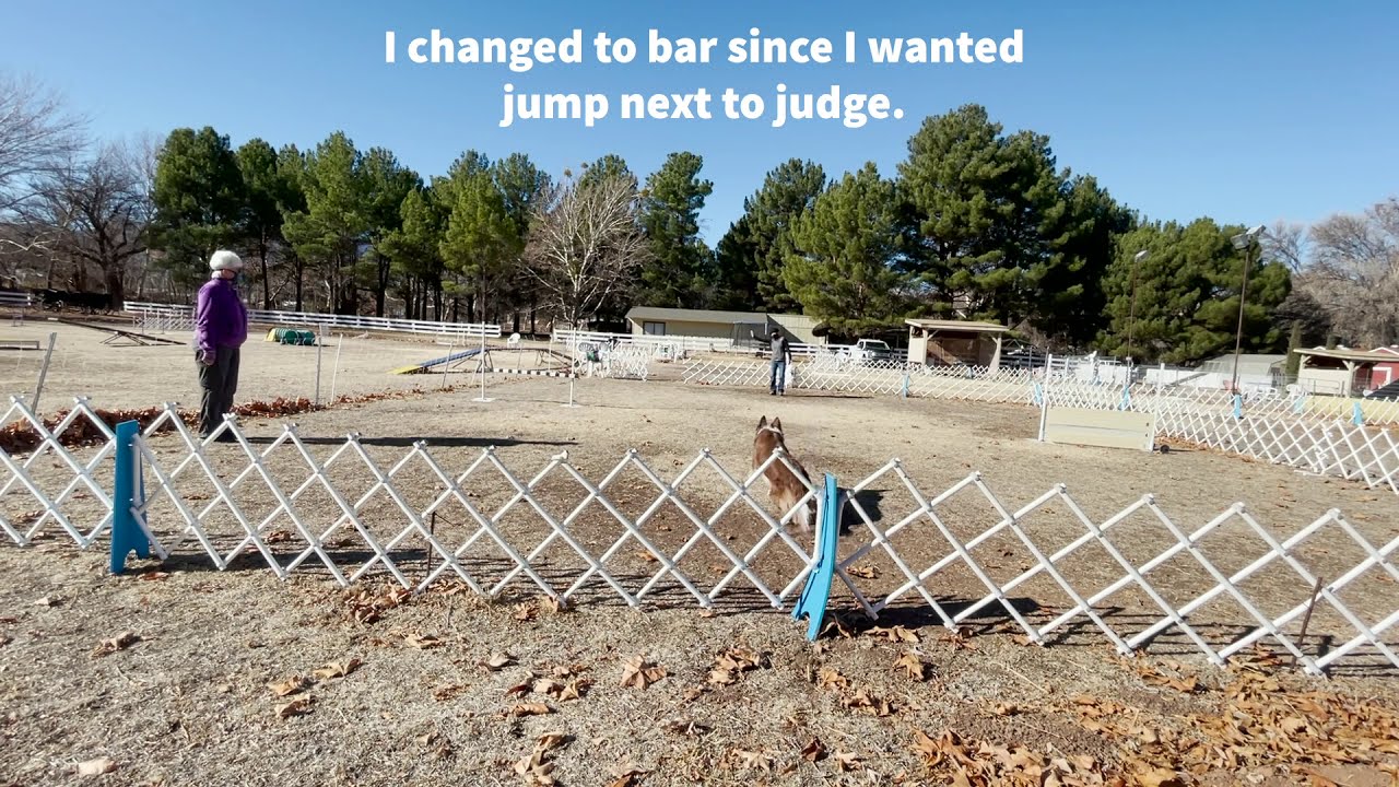 Proofing Ring Pressure from the Judge - Directed Jumping - YouTube