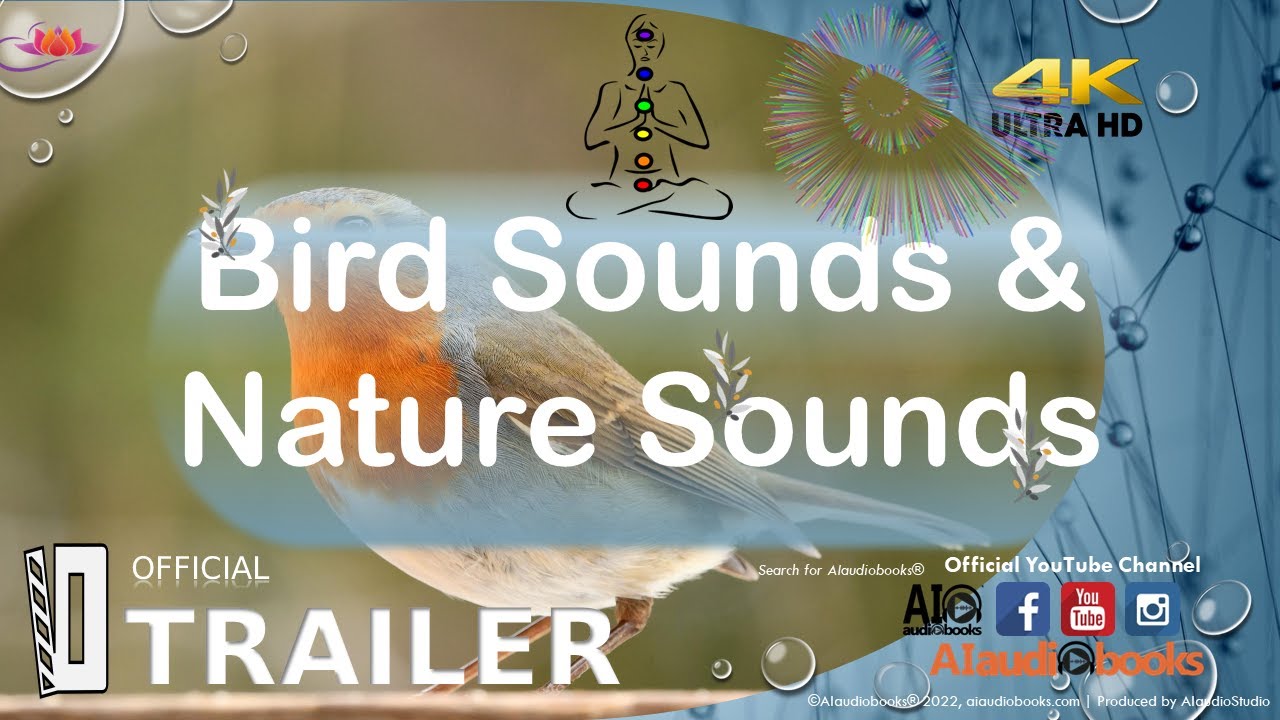 Bird Sounds & Nature Sounds in a Spring Forest - TRAILER - YouTube