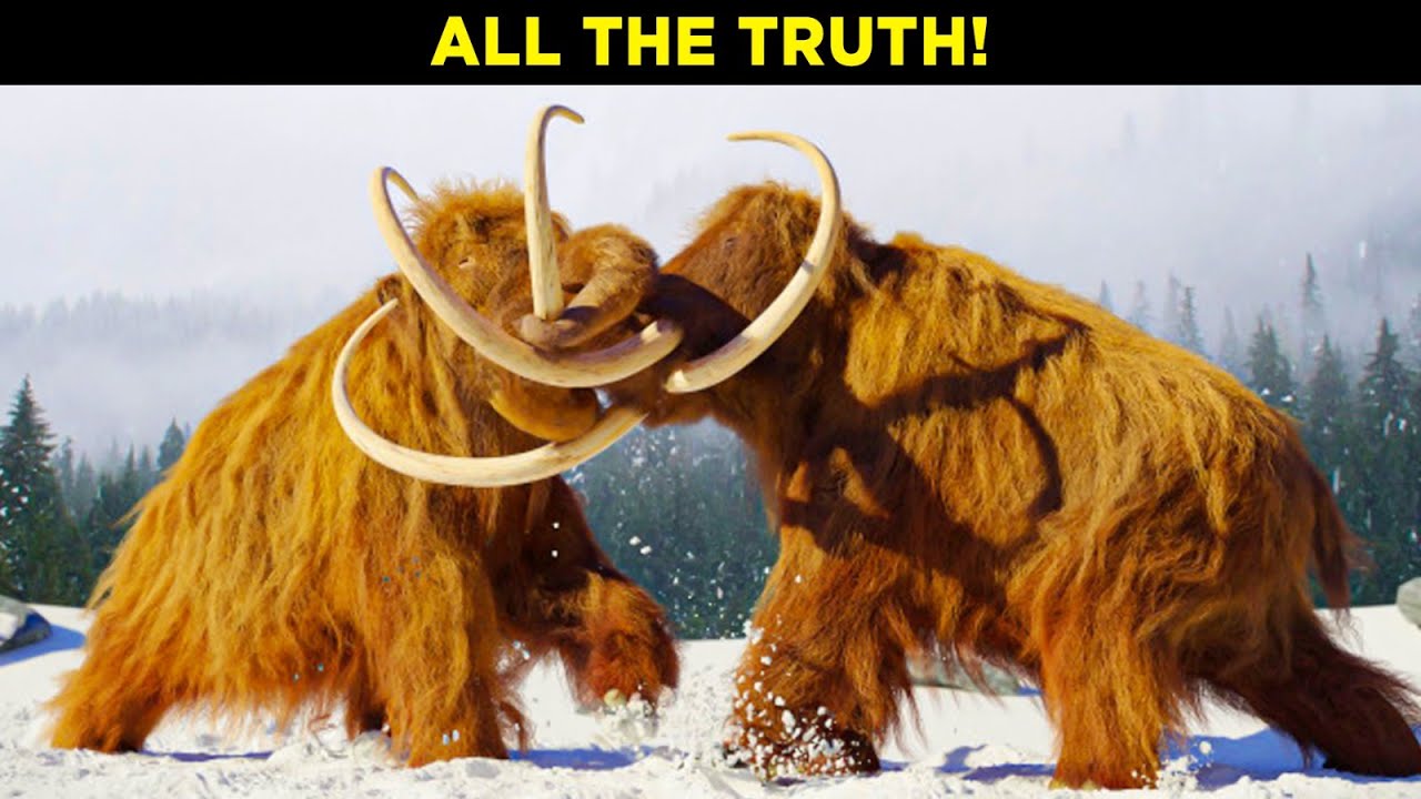 Evidence That Exposes Truth About Woolly Mammoths - YouTube