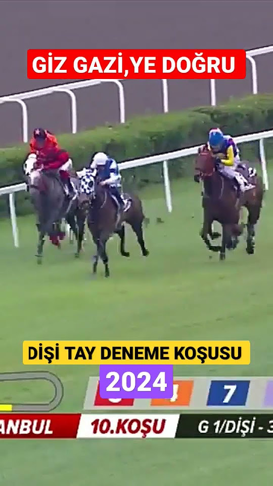 DİŞİ TAY DENEME KOŞUSU 2024 - YouTube