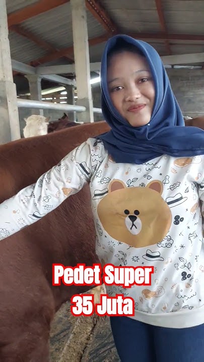 #shorts Mbak Maya Beli Pedet Super Seharga 35 Juta - YouTube