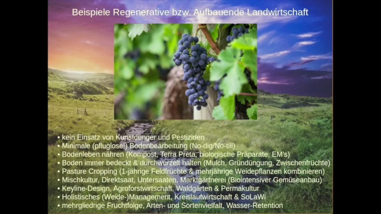 Nachhaltige Anbaumethoden Teil 5 - YouTube