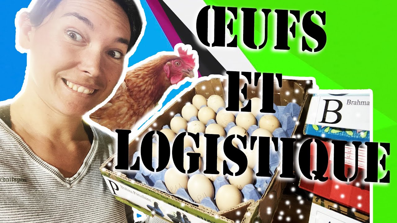 rangement des œufs fécondés la méthode ultra simple ! - YouTube