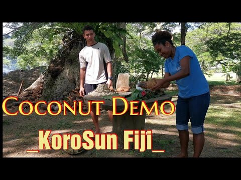 Coconut Demo_KoroSun Fiji #korosunresort #floathingbures #savusavu # ...