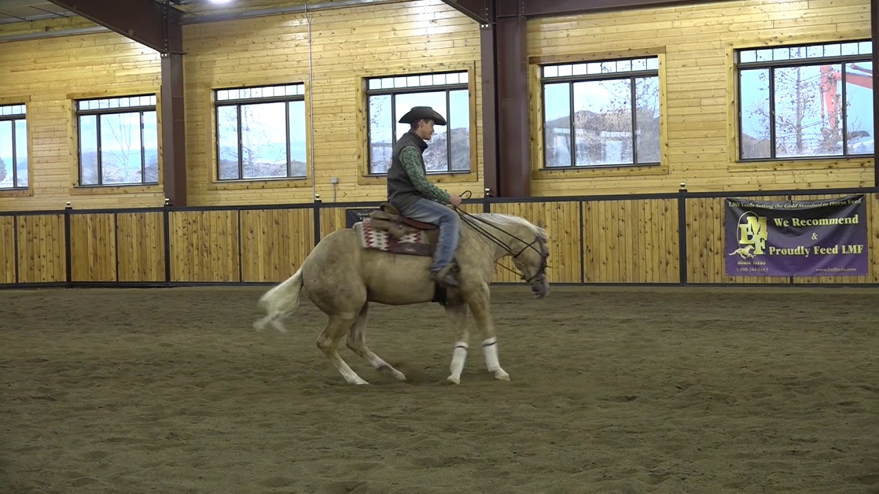 TR SMART SHINER - YouTube